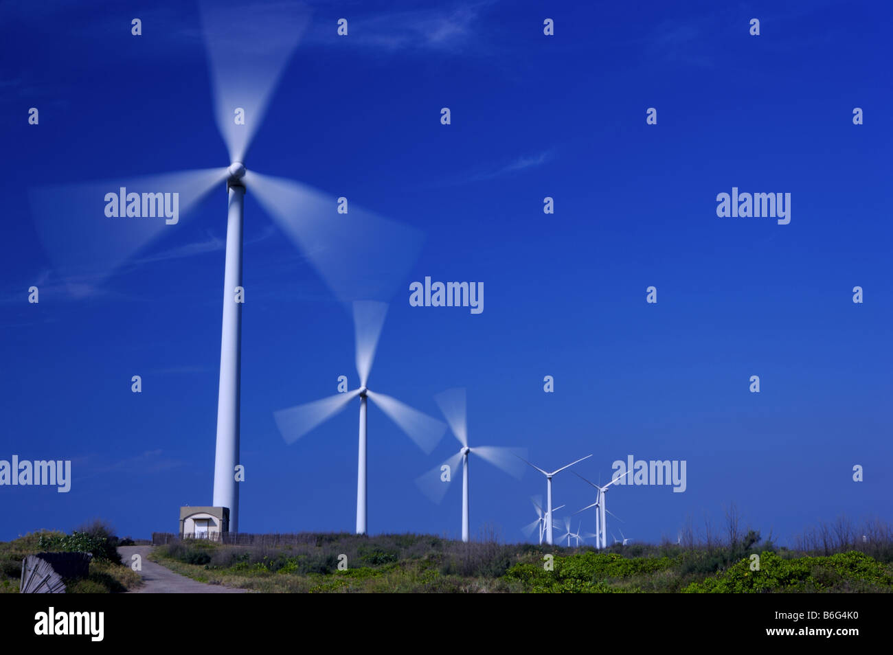 Conservation in motion hi-res stock photography and images - Alamy