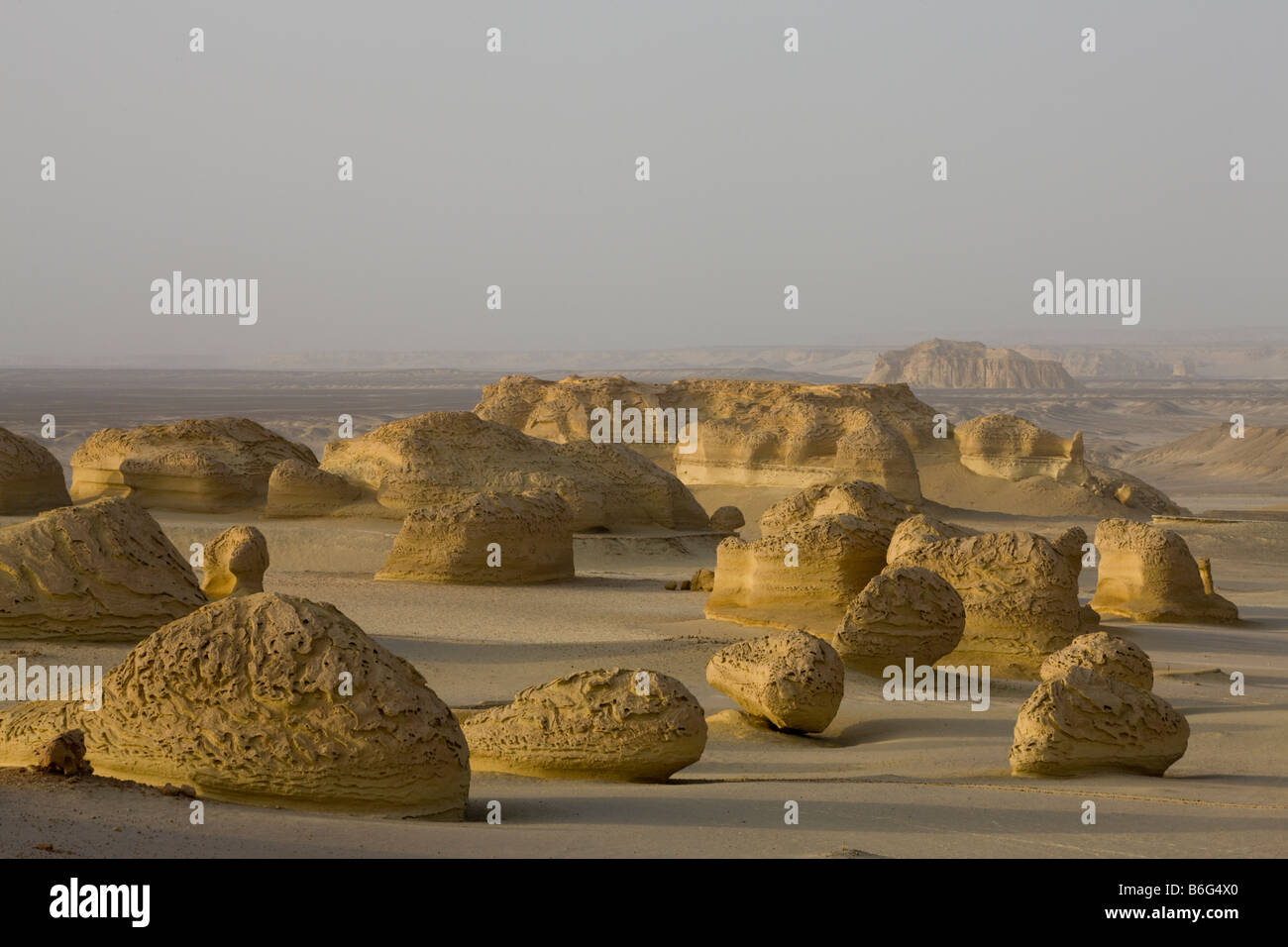 Hitan hi-res stock photography and images - Alamy