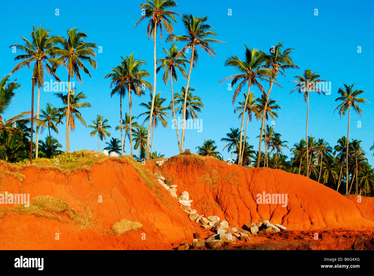 Soil of kerala hi-res stock photography and images - Alamy