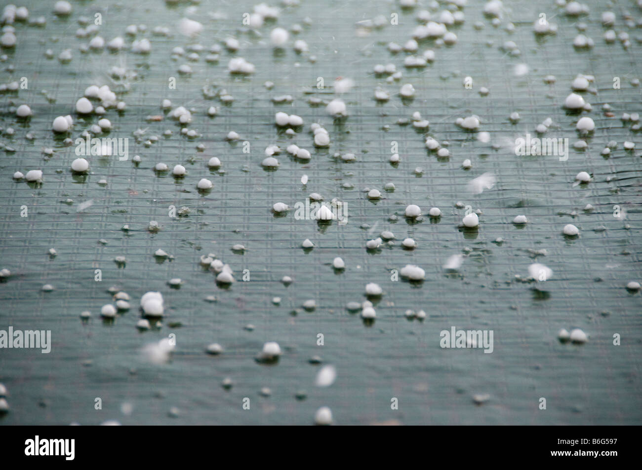 Hailstone fall hi-res stock photography and images - Alamy