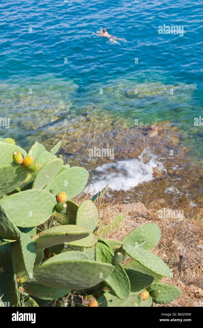Woman swimming in the Mediterranean sea, Elba Island, Tuscany, Italy ...