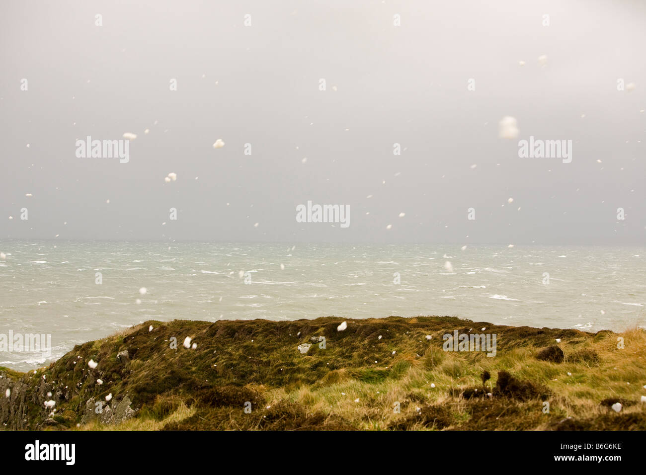 Spume blown inland from a stormy sea on The Rhins of Galloway Scotland ...