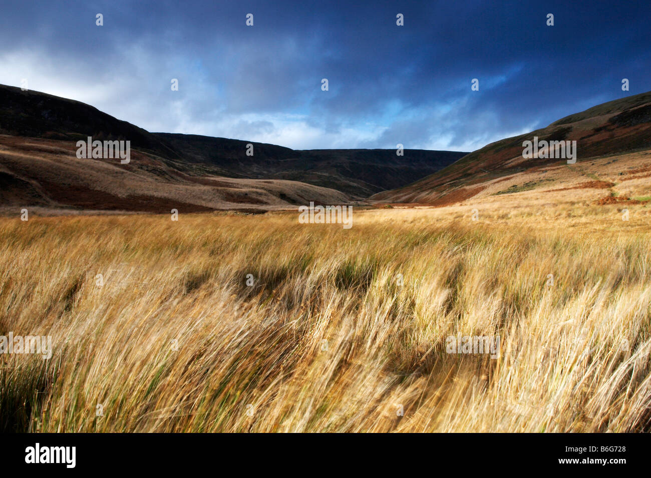 Crowden head hi-res stock photography and images - Alamy