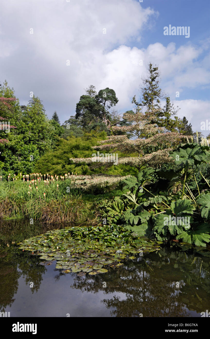 Fota gardens arboretum hi-res stock photography and images - Alamy