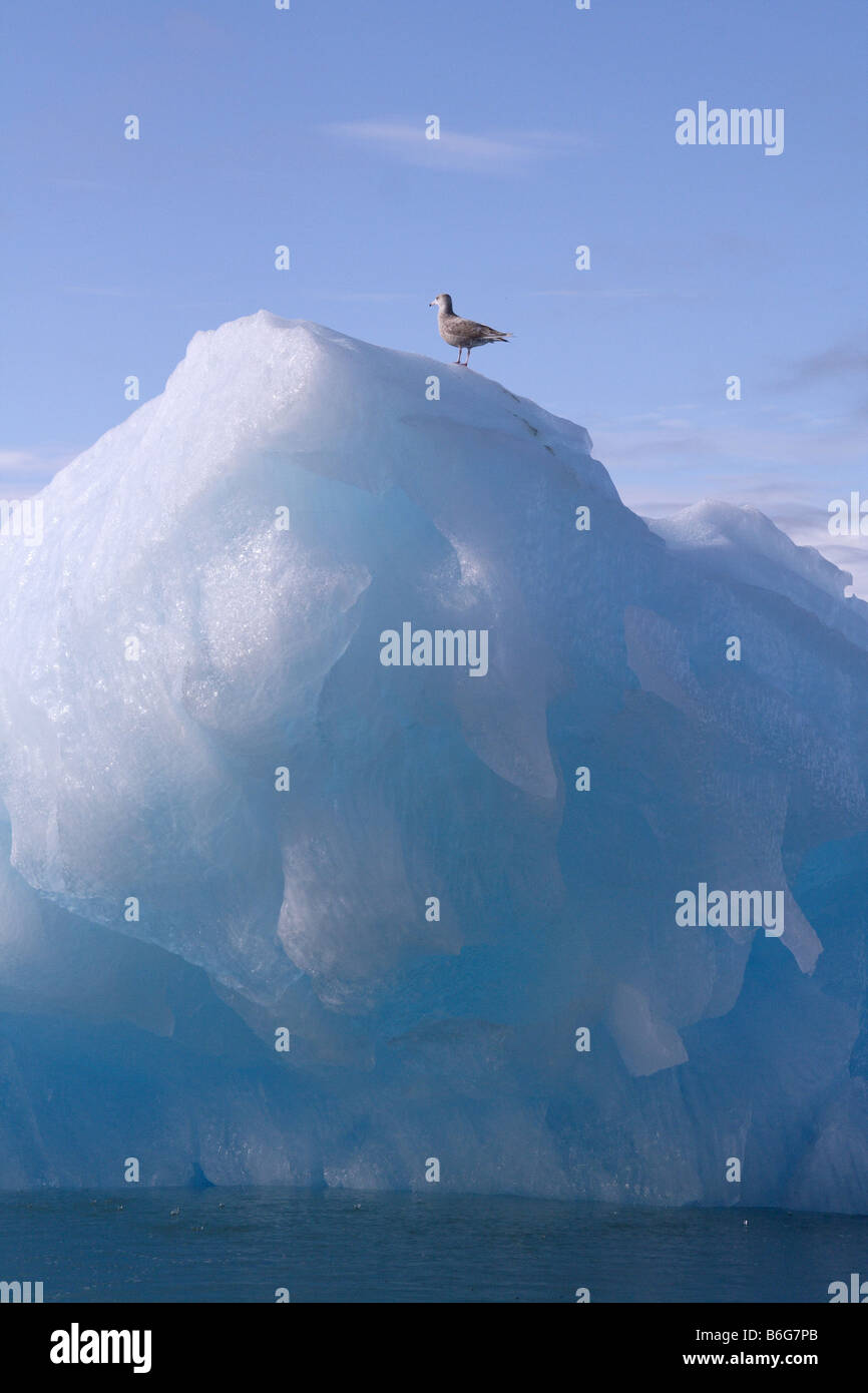 Lone iceberg hi-res stock photography and images - Alamy