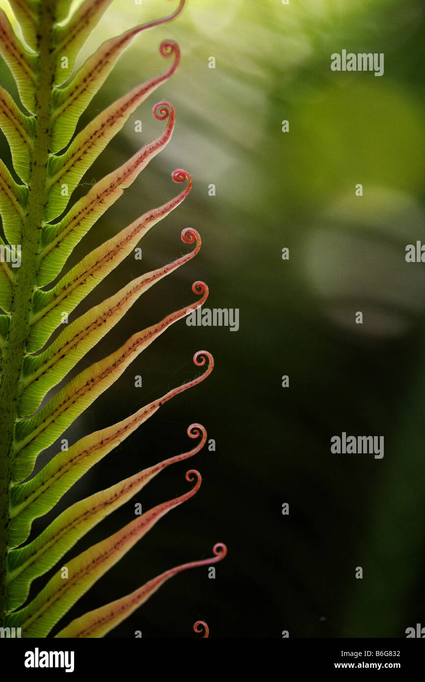 Colorful edges hi-res stock photography and images - Alamy