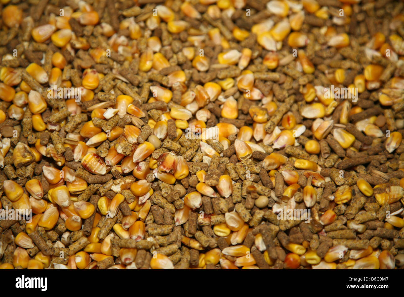 Animal feed manufacturing hi-res stock photography and images - Alamy