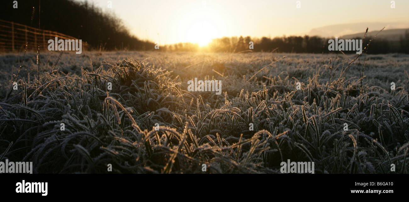 Frosty setting hi-res stock photography and images - Alamy