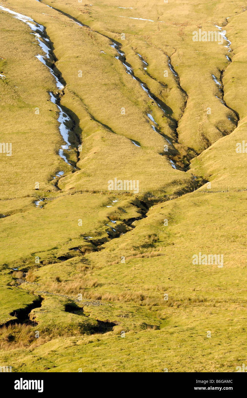 A view of hillside stream feeders in catchment area on Middleton Fell ...