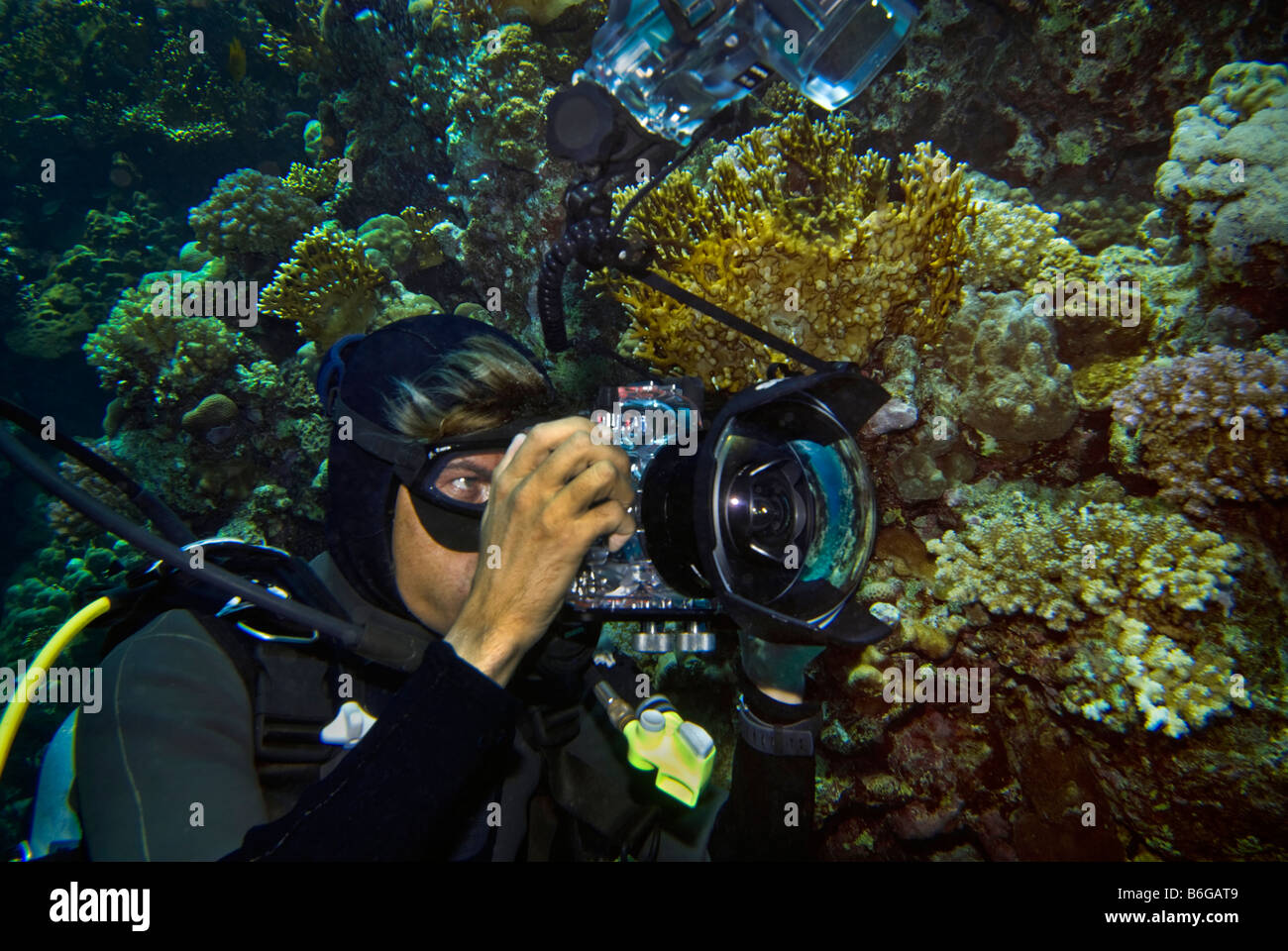 photographer diver scuba diving underwater under water camera reef riff ...