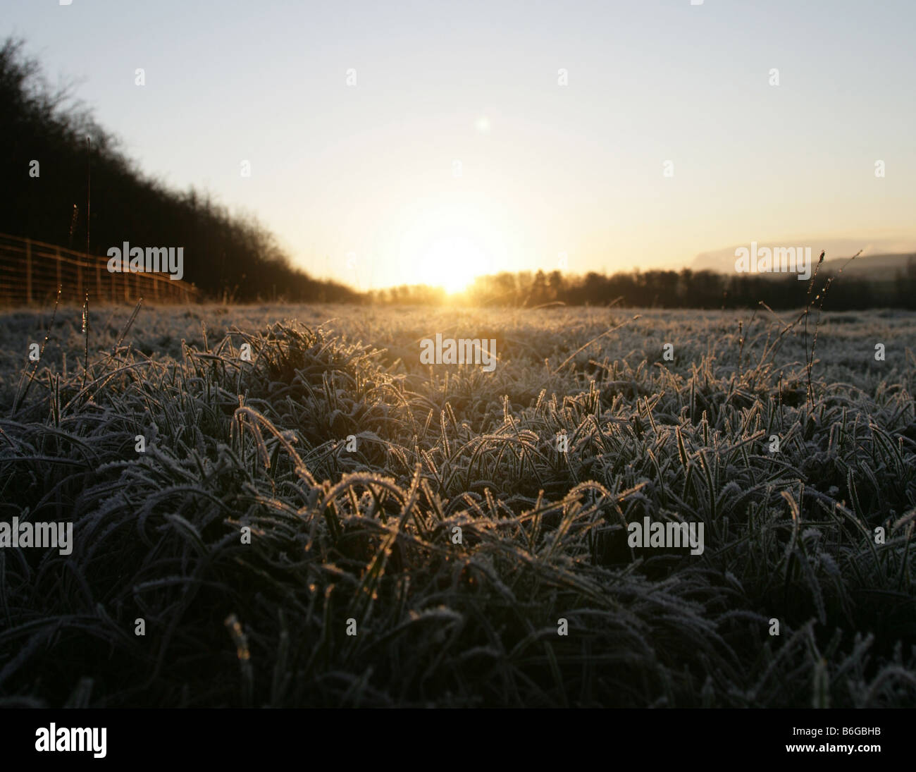 A very low warm setting sun shining on frost covered grass Stock Photo ...