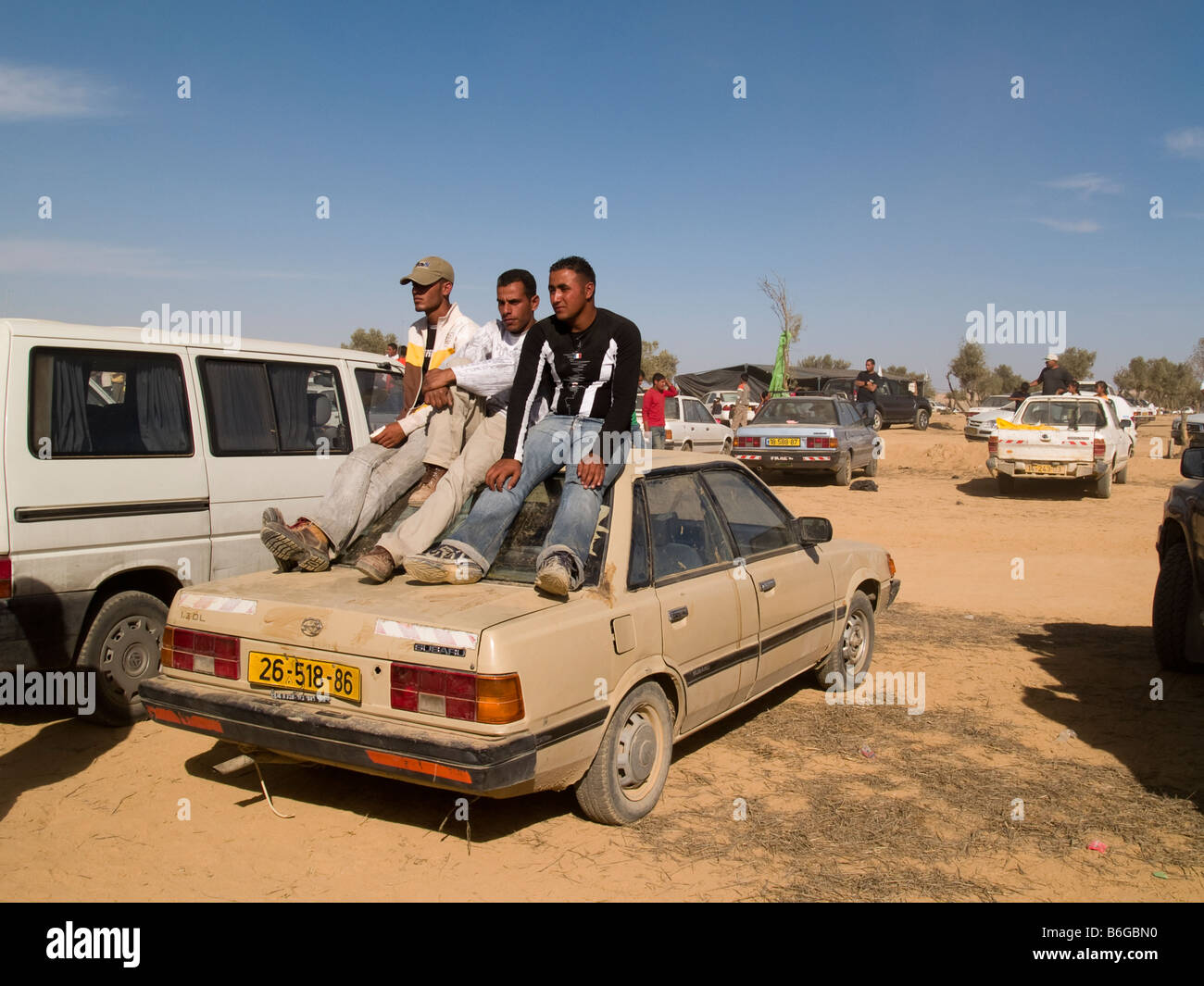 Israel Camel race near Arad in the Negev by beduins crowd watching the ...