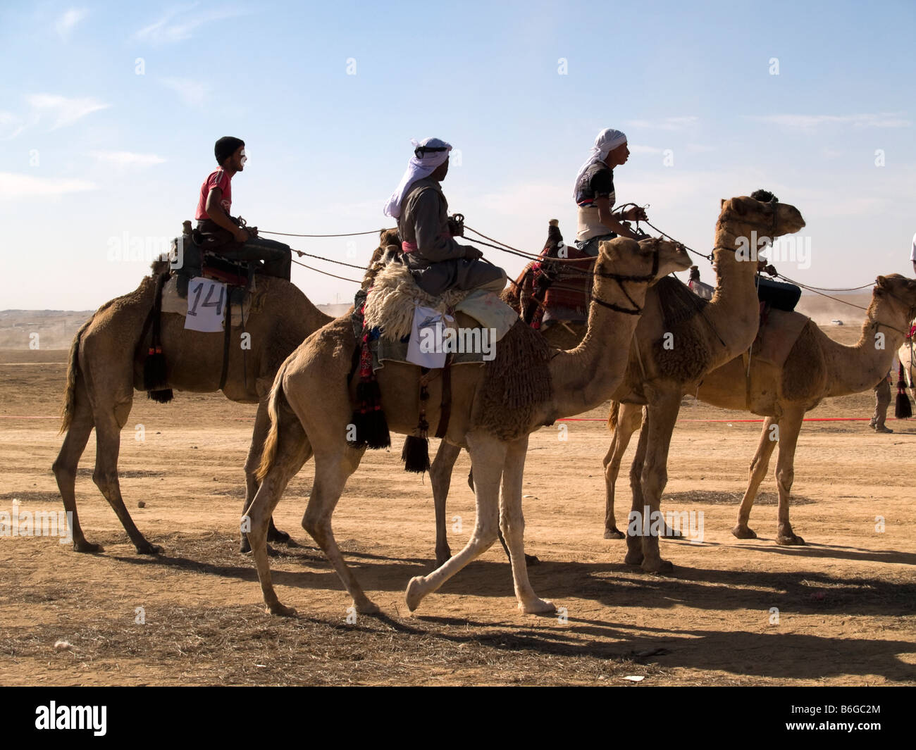 Camel riding israel hi-res stock photography and images - Alamy