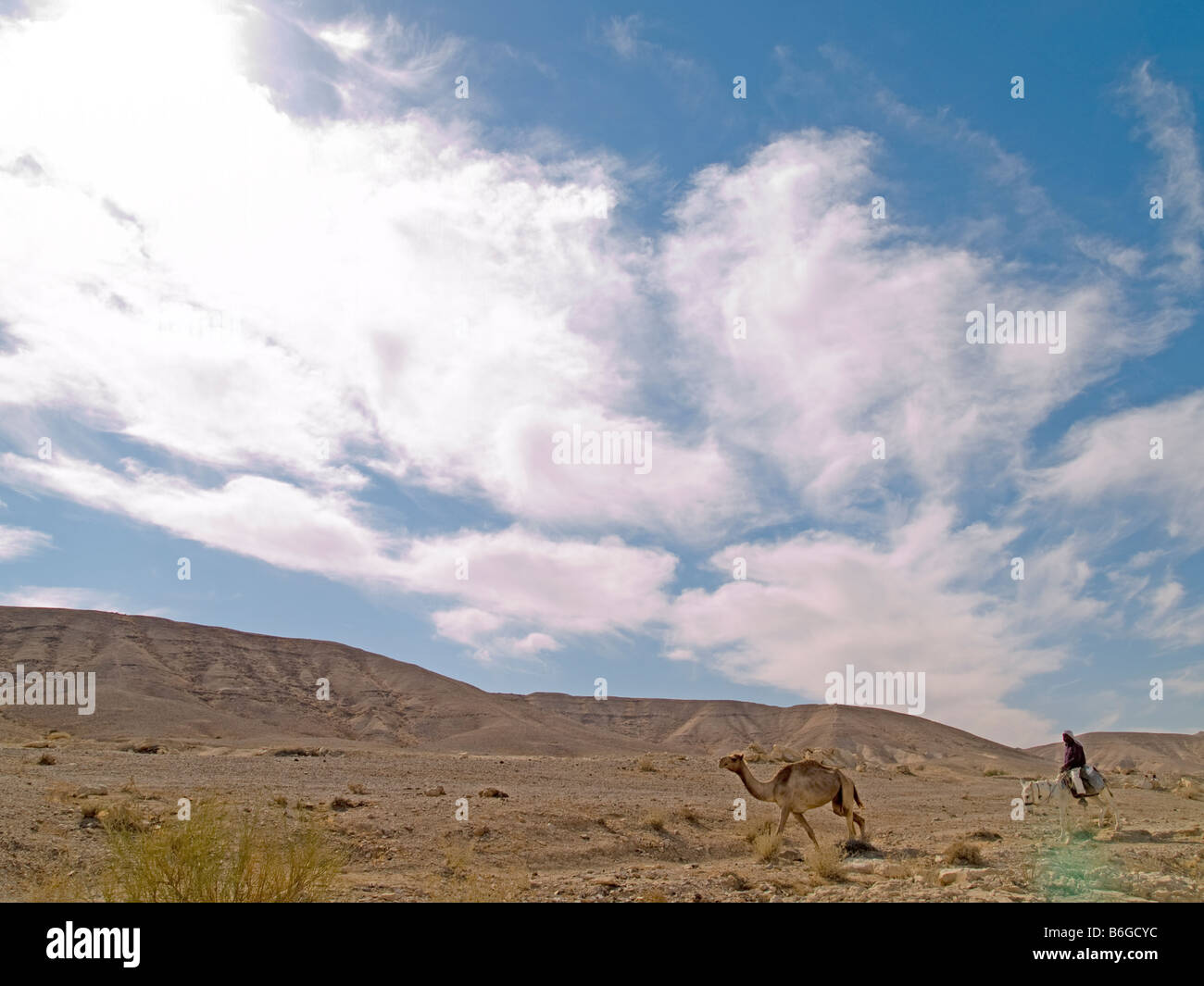 Camel riding israel hi-res stock photography and images - Alamy