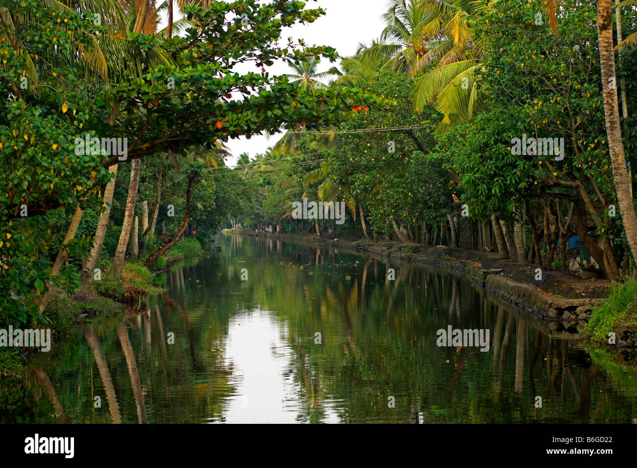 Quiet small canal in the Backwaters of Kerala India Stock Photo - Alamy