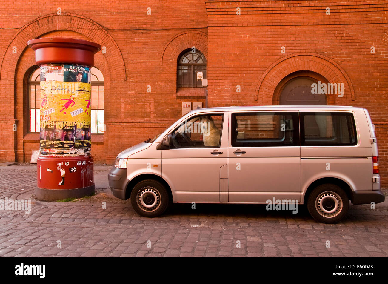 A dog sits behind driving wheel Stock Photo - Alamy
