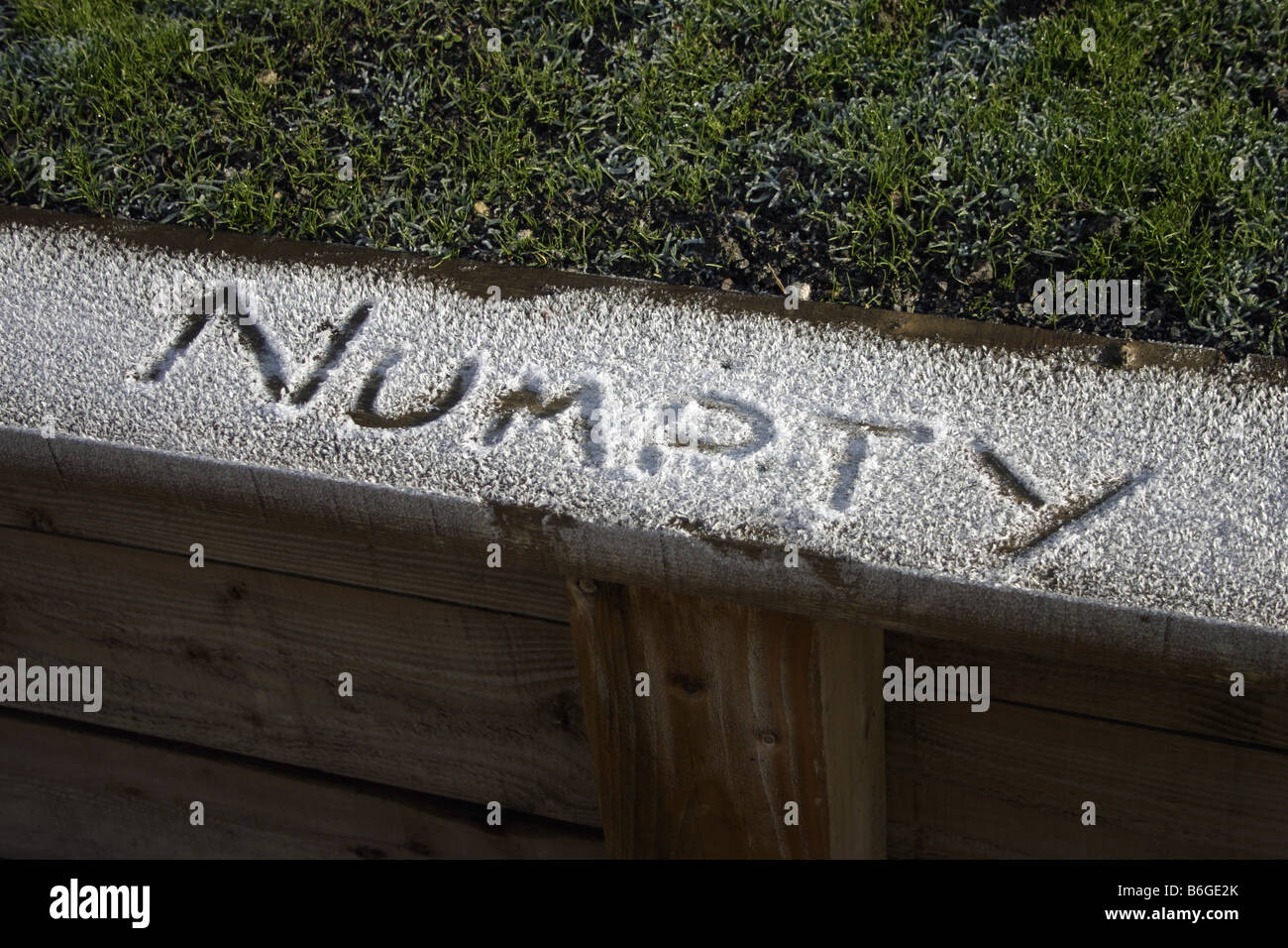 Numpty hi-res stock photography and images - Alamy