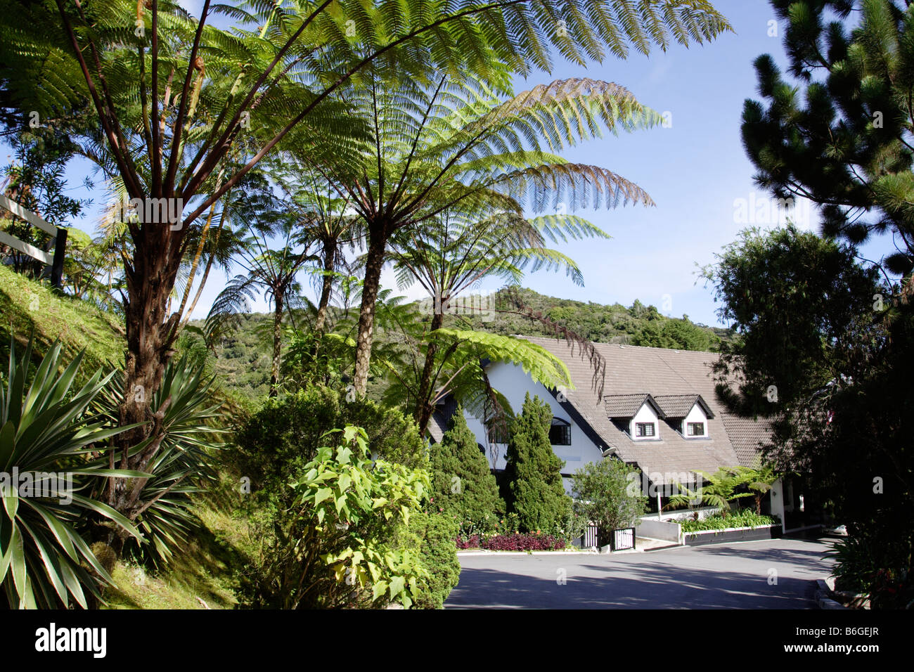 Big trees resort hi-res stock photography and images - Alamy