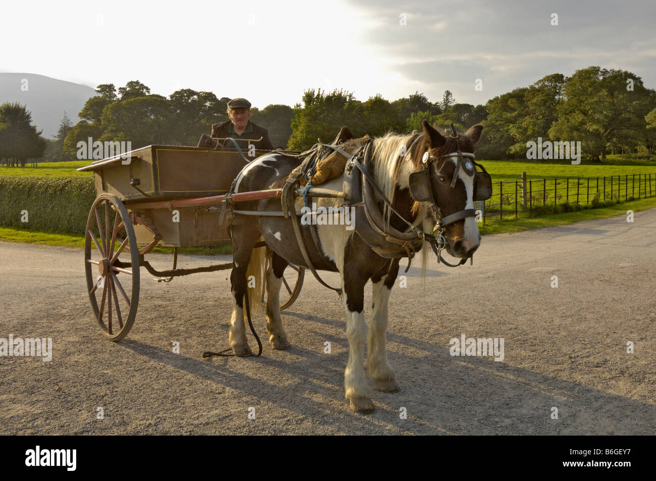 Killarney jaunting car hi-res stock photography and images - Alamy
