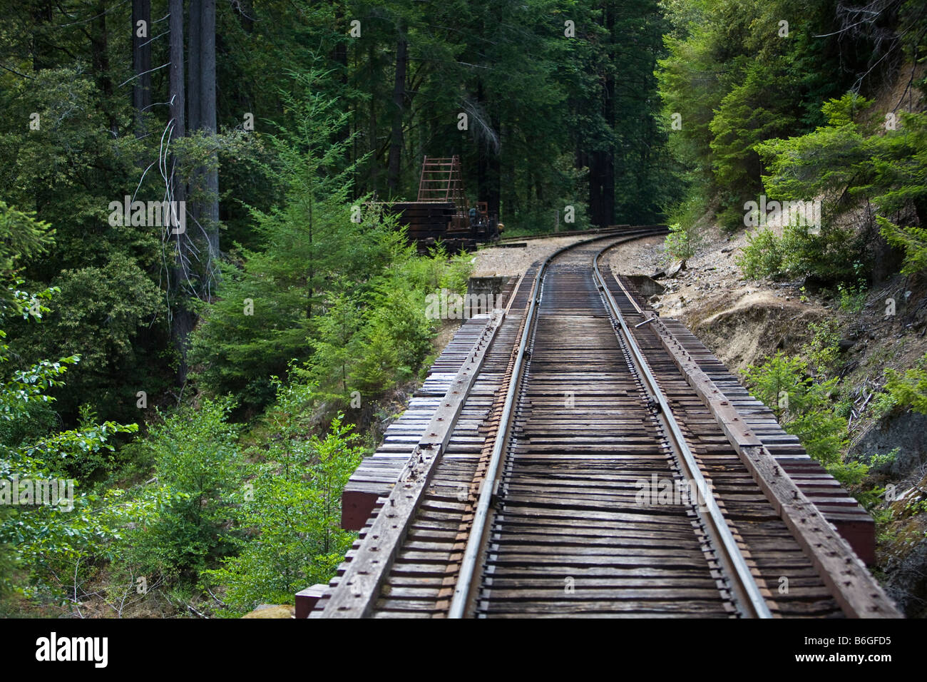 Trussle hi-res stock photography and images - Alamy
