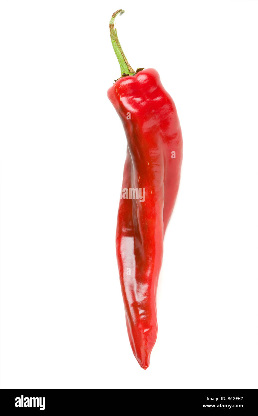 Red Chile Pepper Stock Photo - Alamy