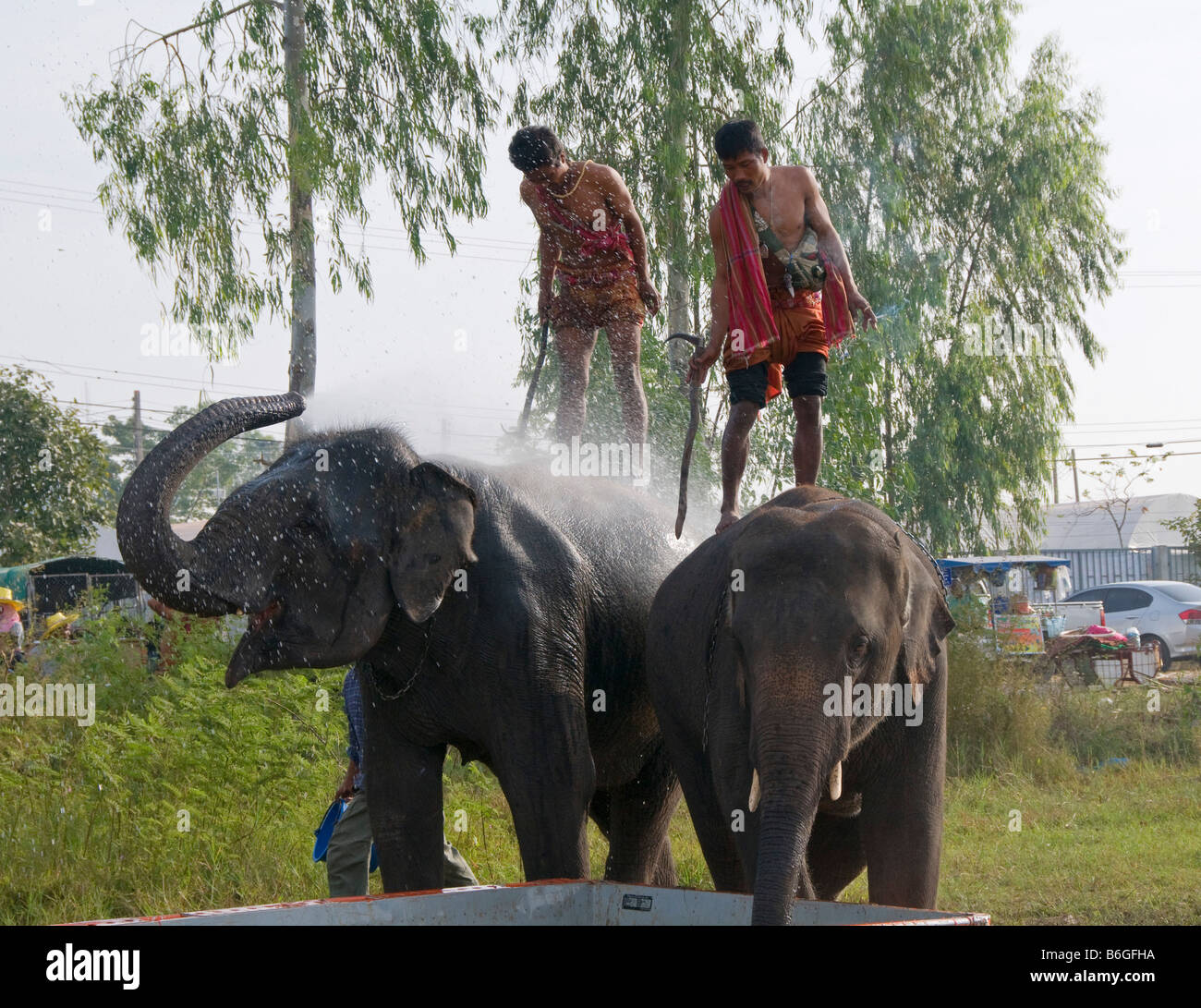 Elephants water spray hi-res stock photography and images - Alamy