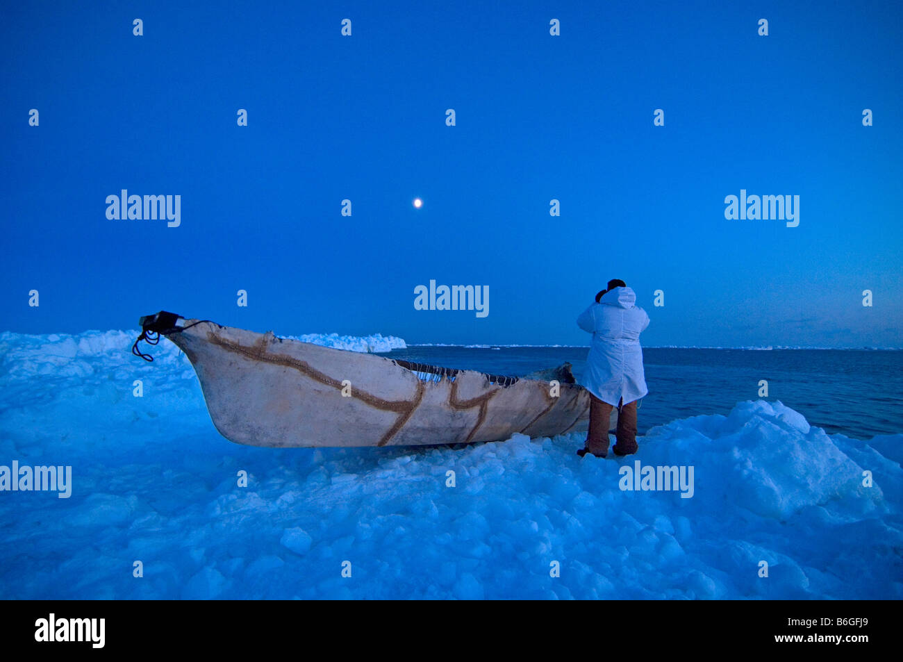 Bearded seal hunting hi-res stock photography and images - Alamy