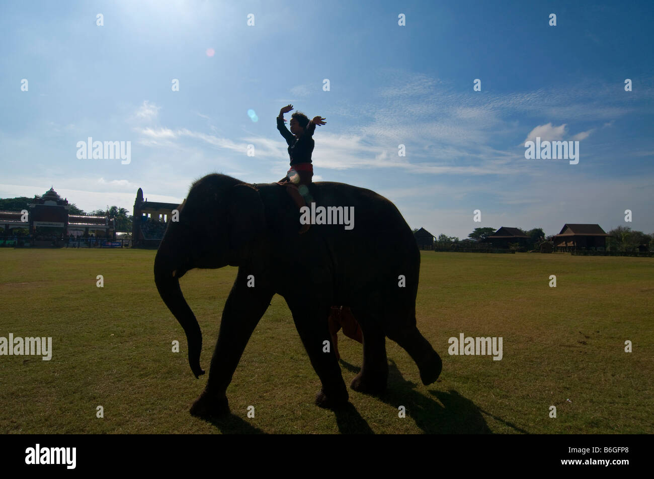 boy mahout riding his elephant at the Elephant Roundup in Surin ...