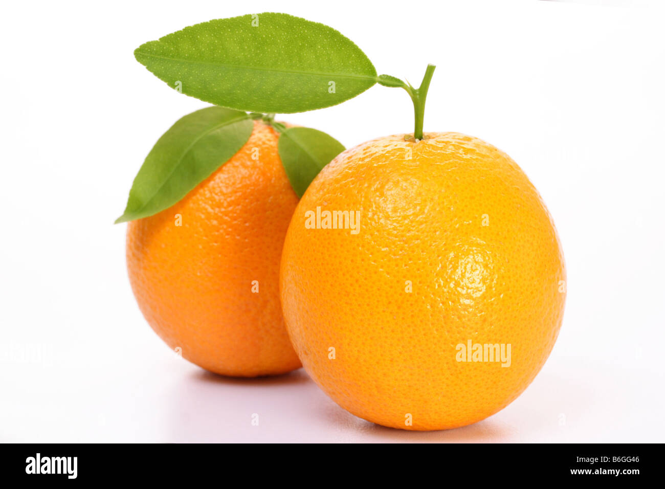 Oranges leaf hi-res stock photography and images - Alamy