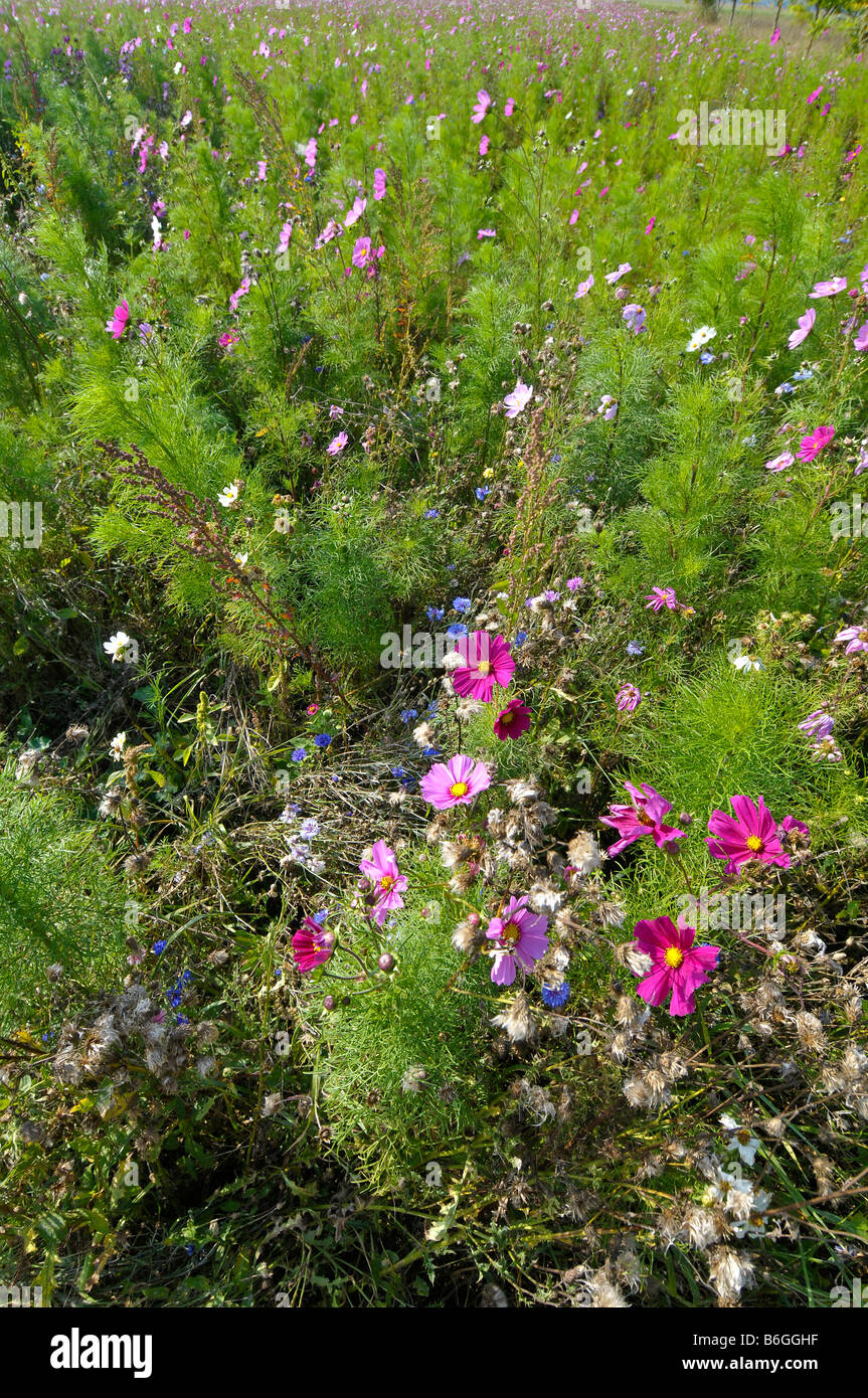 Land set aside hi-res stock photography and images - Alamy