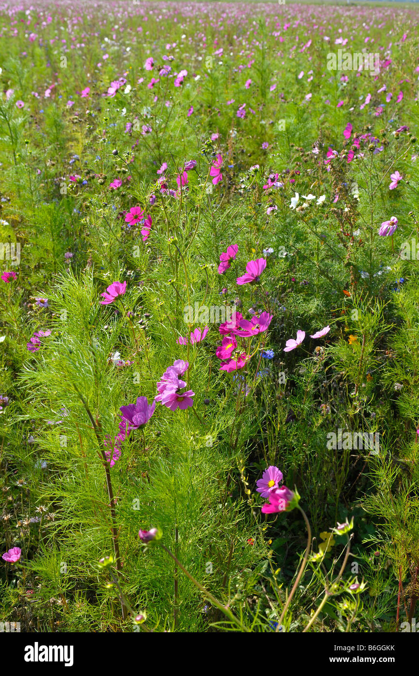 Land set aside hi-res stock photography and images - Alamy