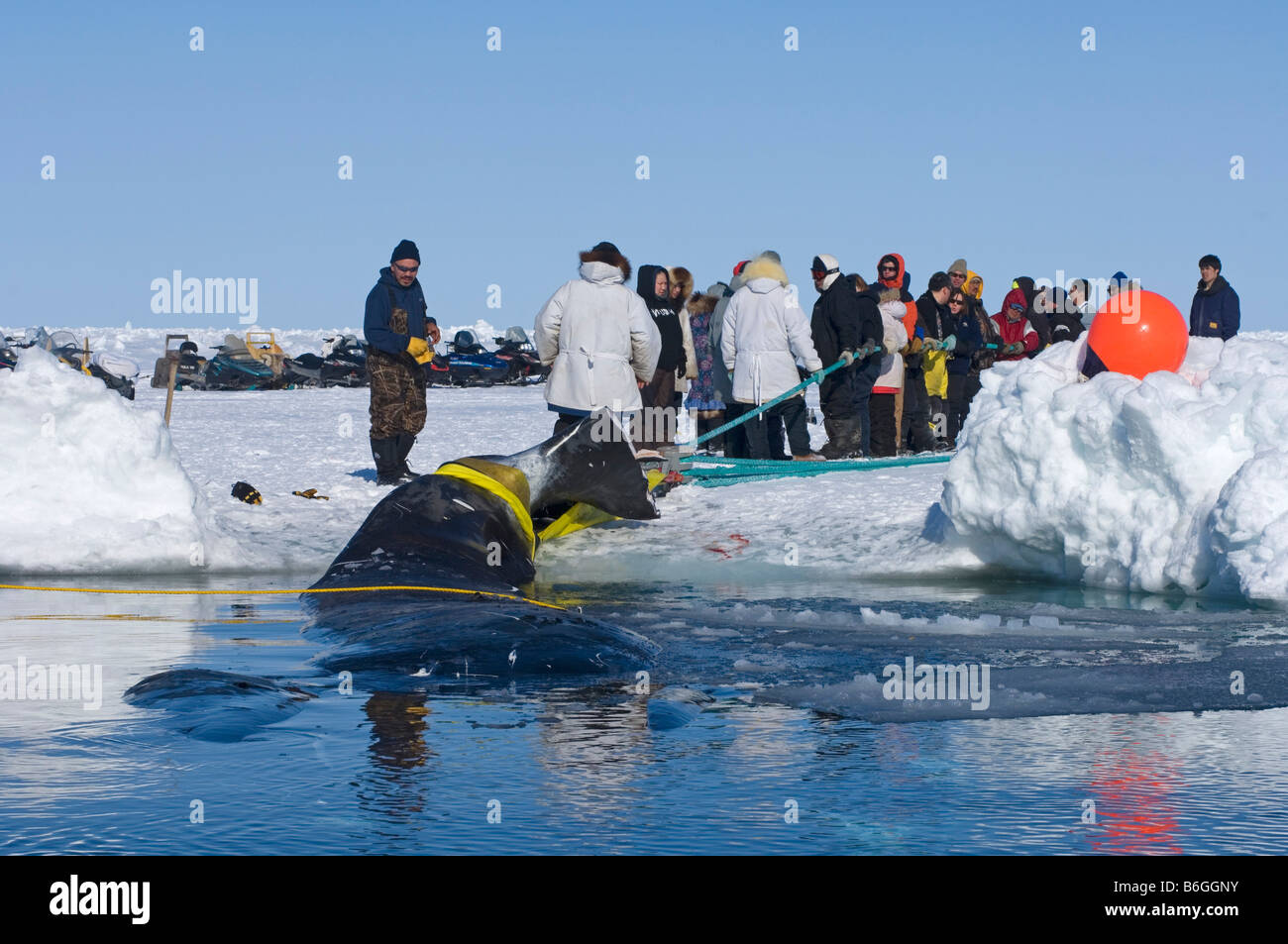 Subsistence whaling village hi-res stock photography and images - Alamy
