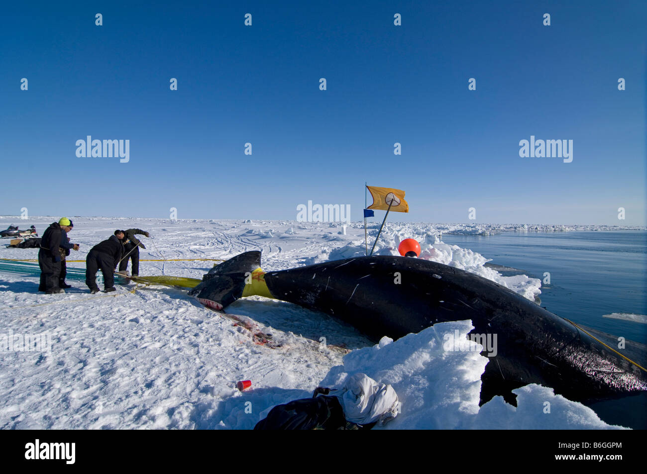 Subsistence whaling village hi-res stock photography and images - Alamy