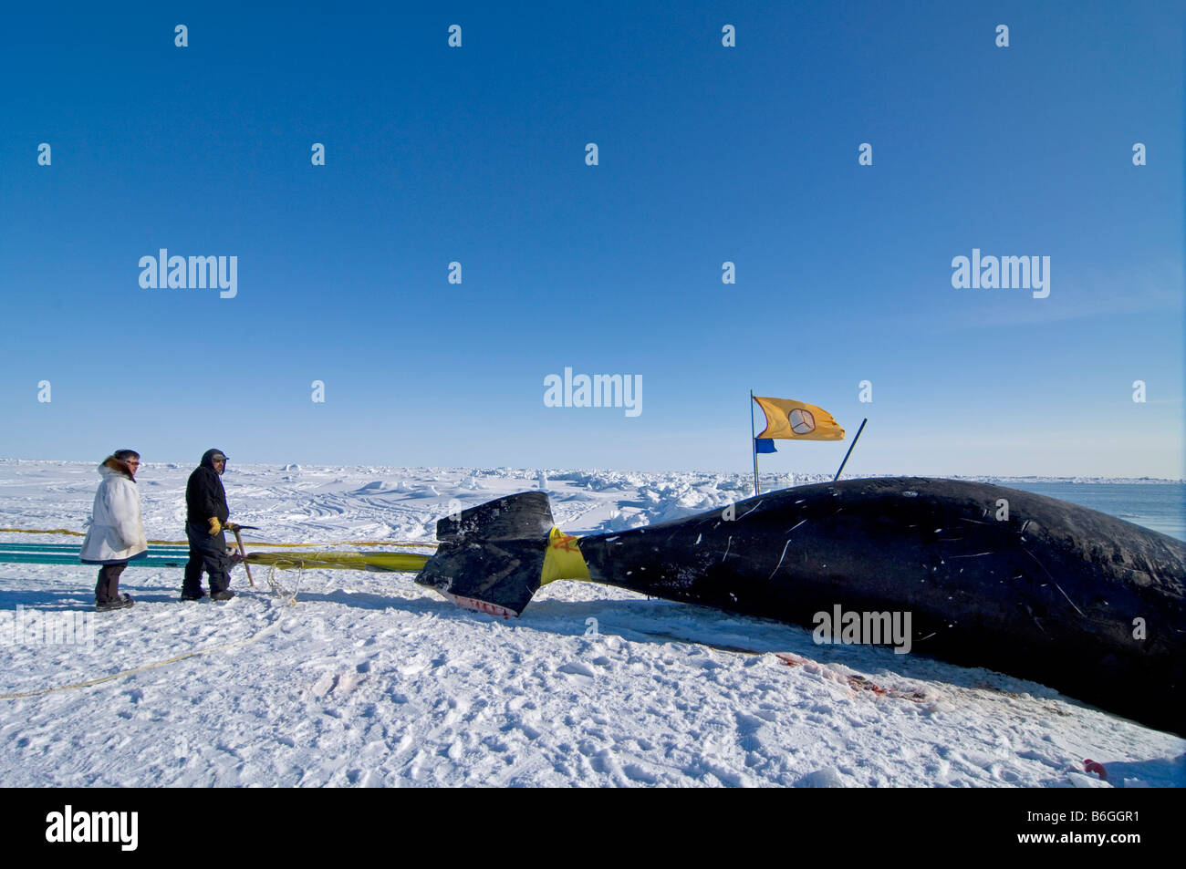 Subsistence whaling village hi-res stock photography and images - Alamy