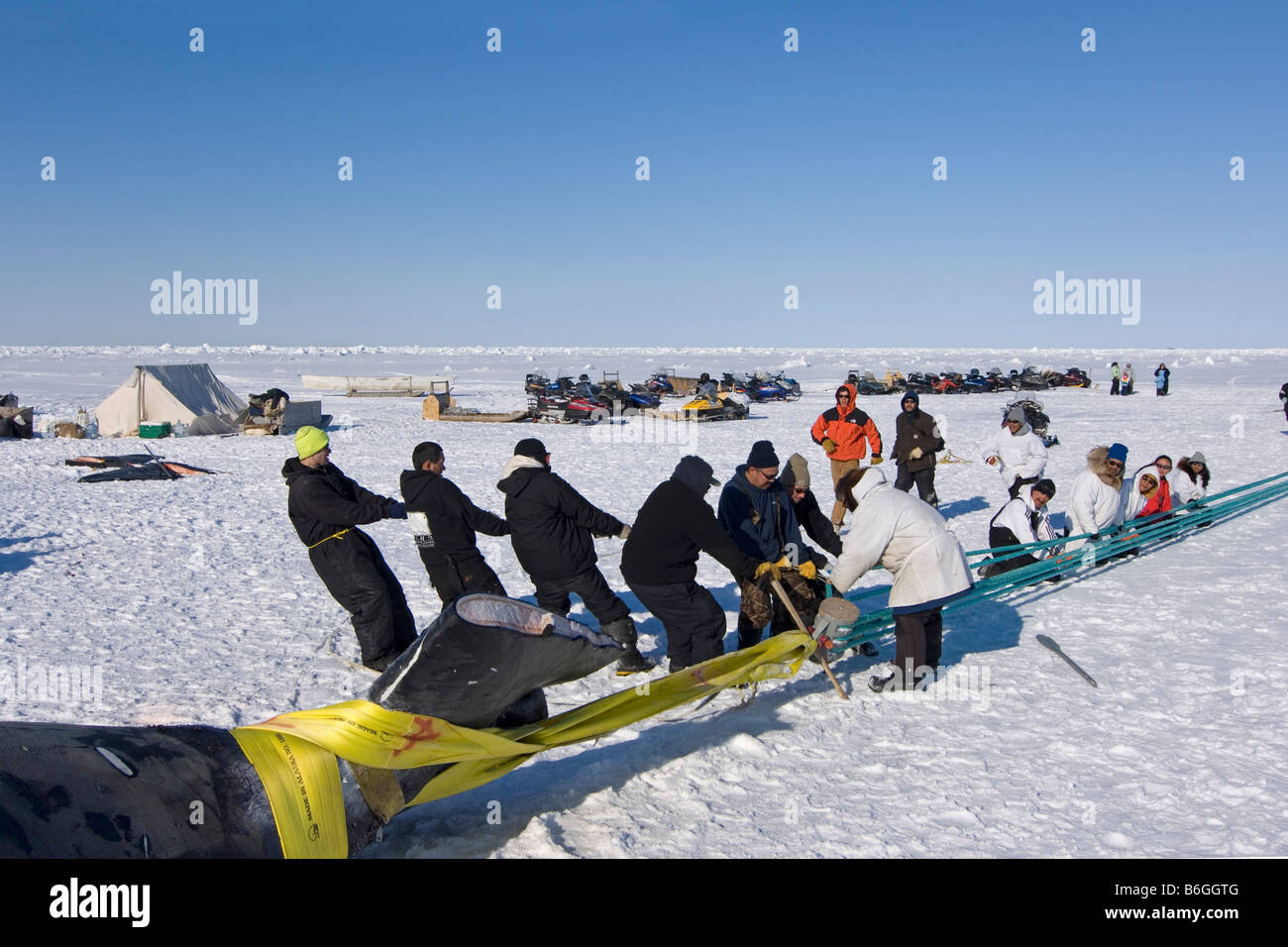 Eskimo whaler hi-res stock photography and images - Alamy