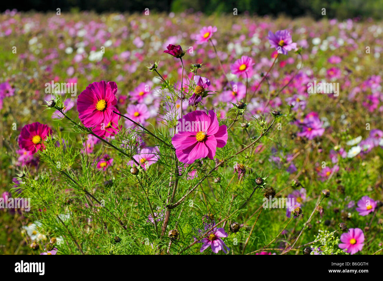 Set aside hi-res stock photography and images - Alamy
