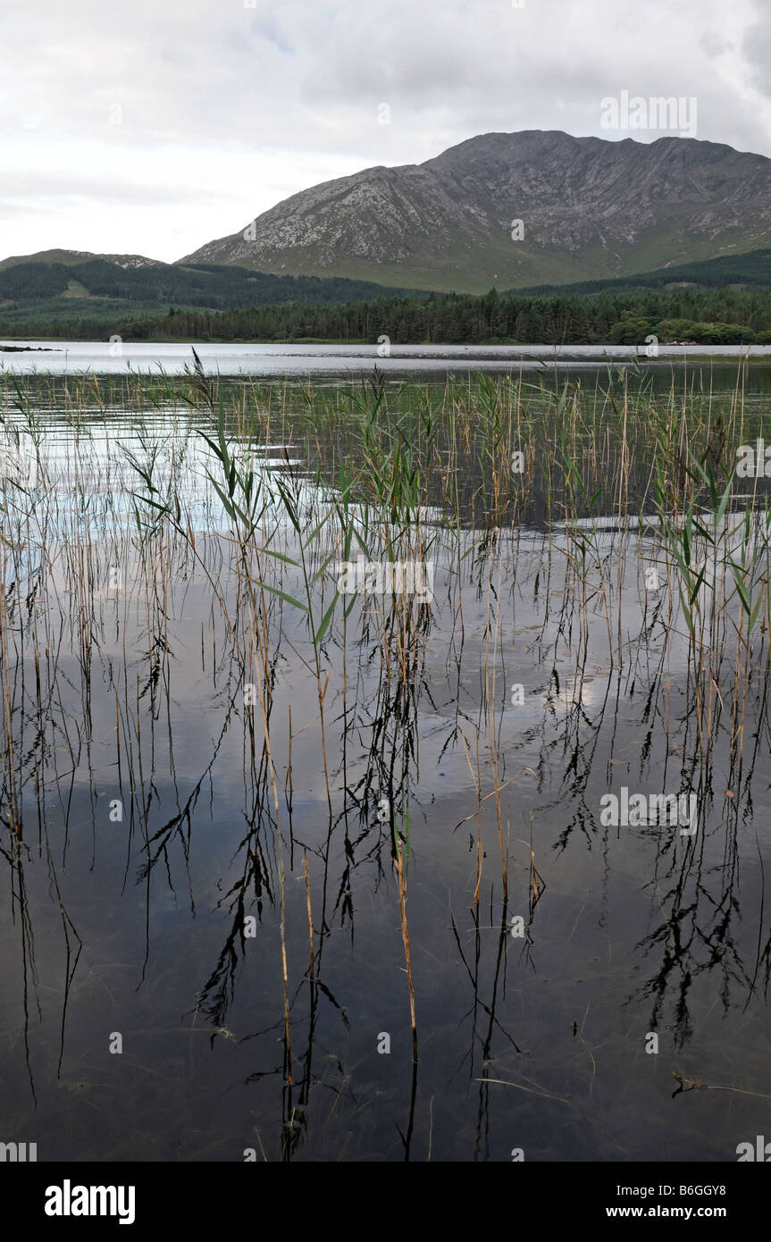Connemara Lough Inagh lake in the Inagh Valley Mirror like reflection ...