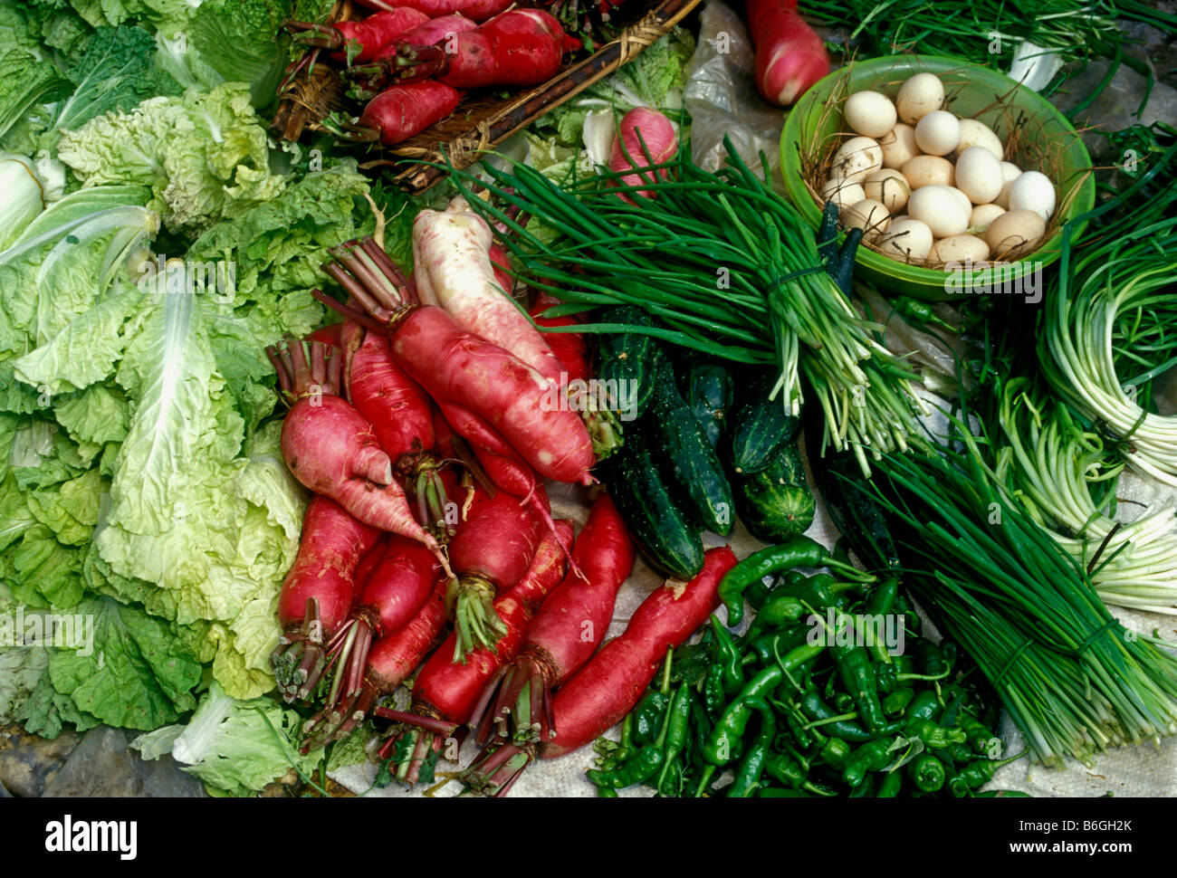 Old radish culture hi-res stock photography and images - Alamy