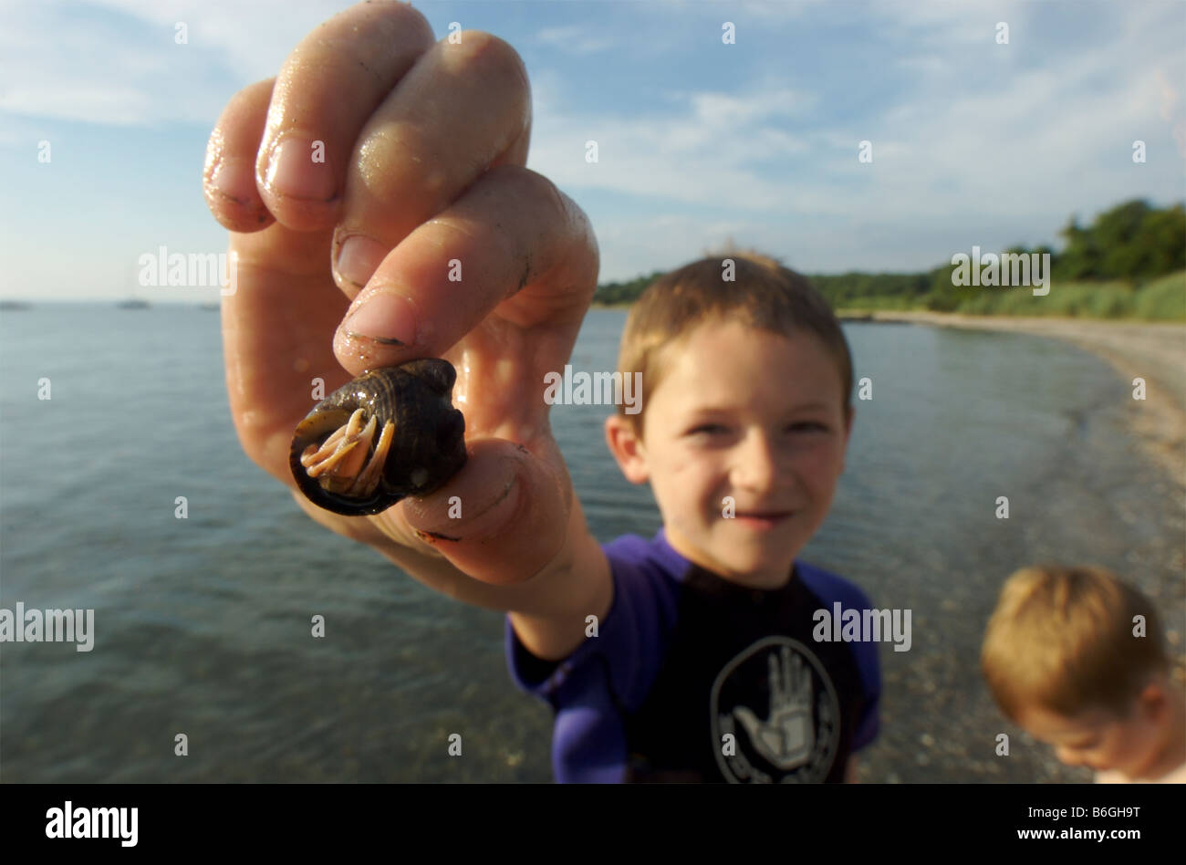 Seven year old boy in wetsuit holding up a hermit crab at a beach on ...