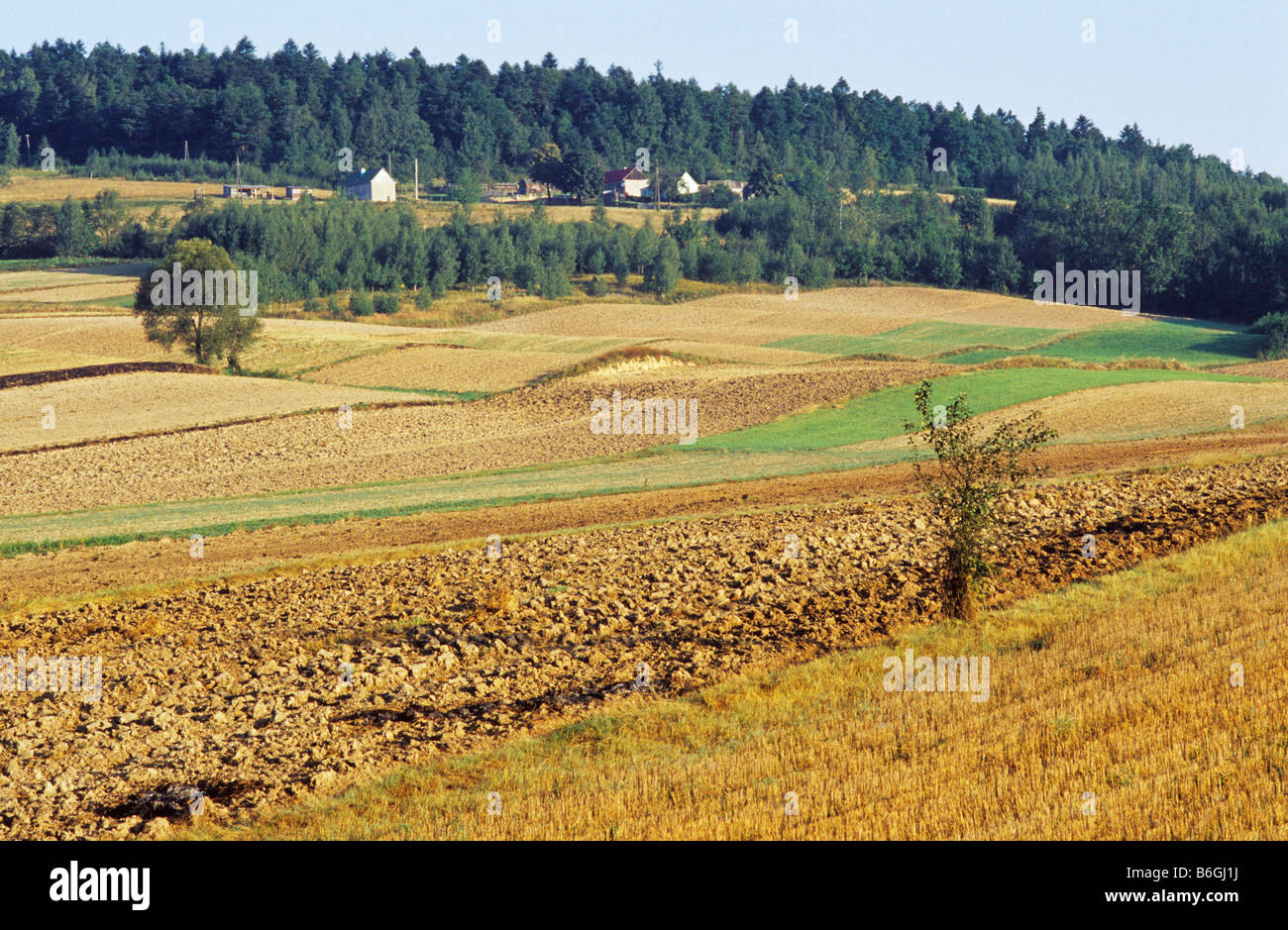 Poland agriculture hi-res stock photography and images - Alamy