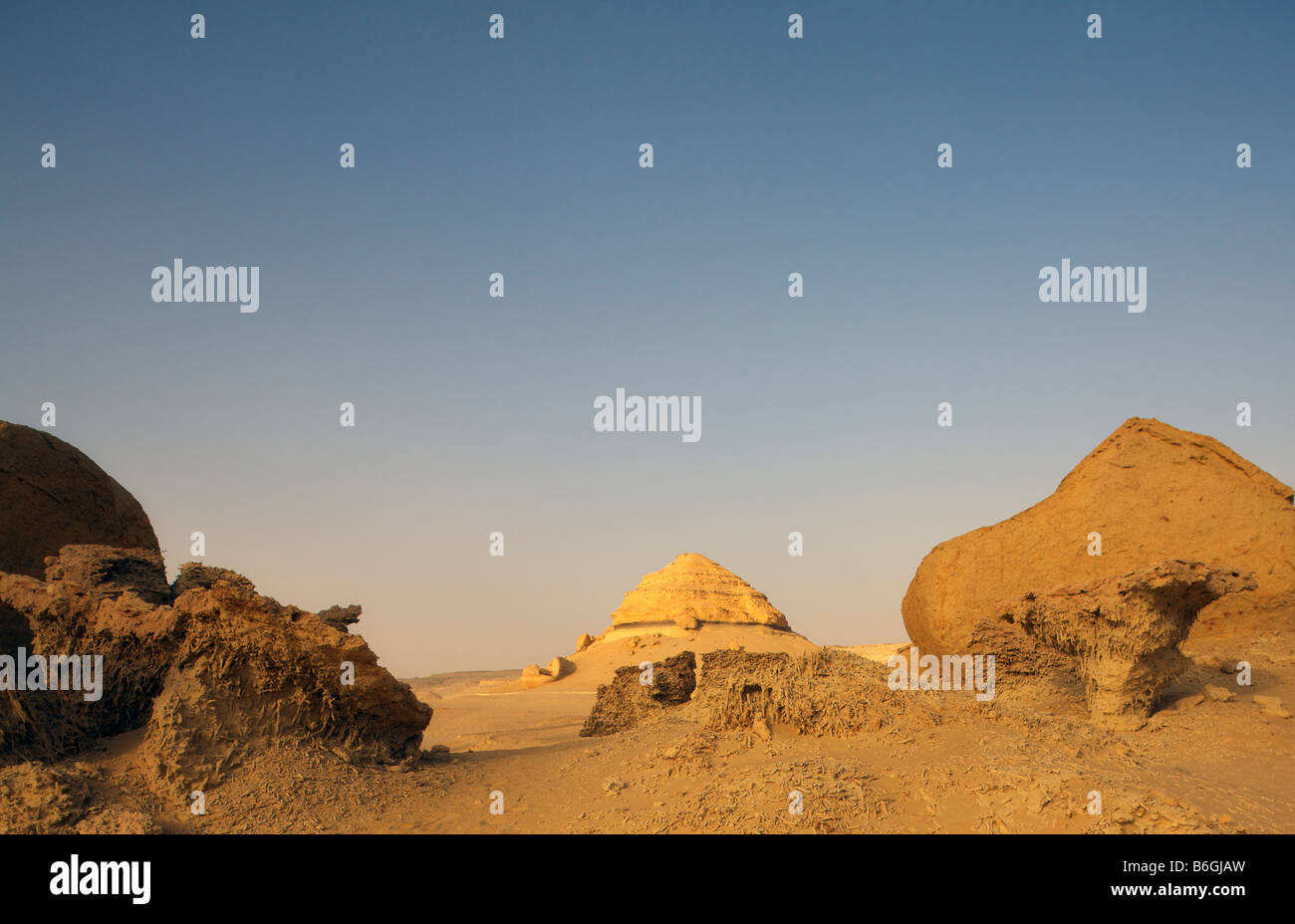 Mangrove heritage site hi-res stock photography and images - Alamy