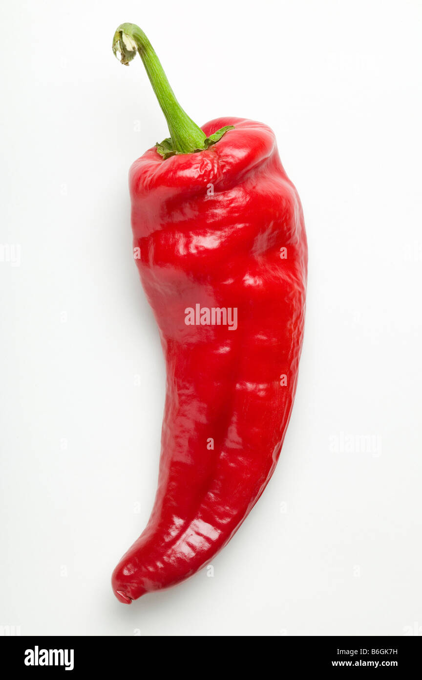 Red Chile Pepper Stock Photo - Alamy