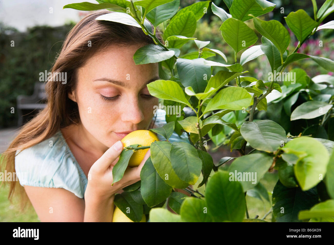 Smelling lemon hi-res stock photography and images - Alamy
