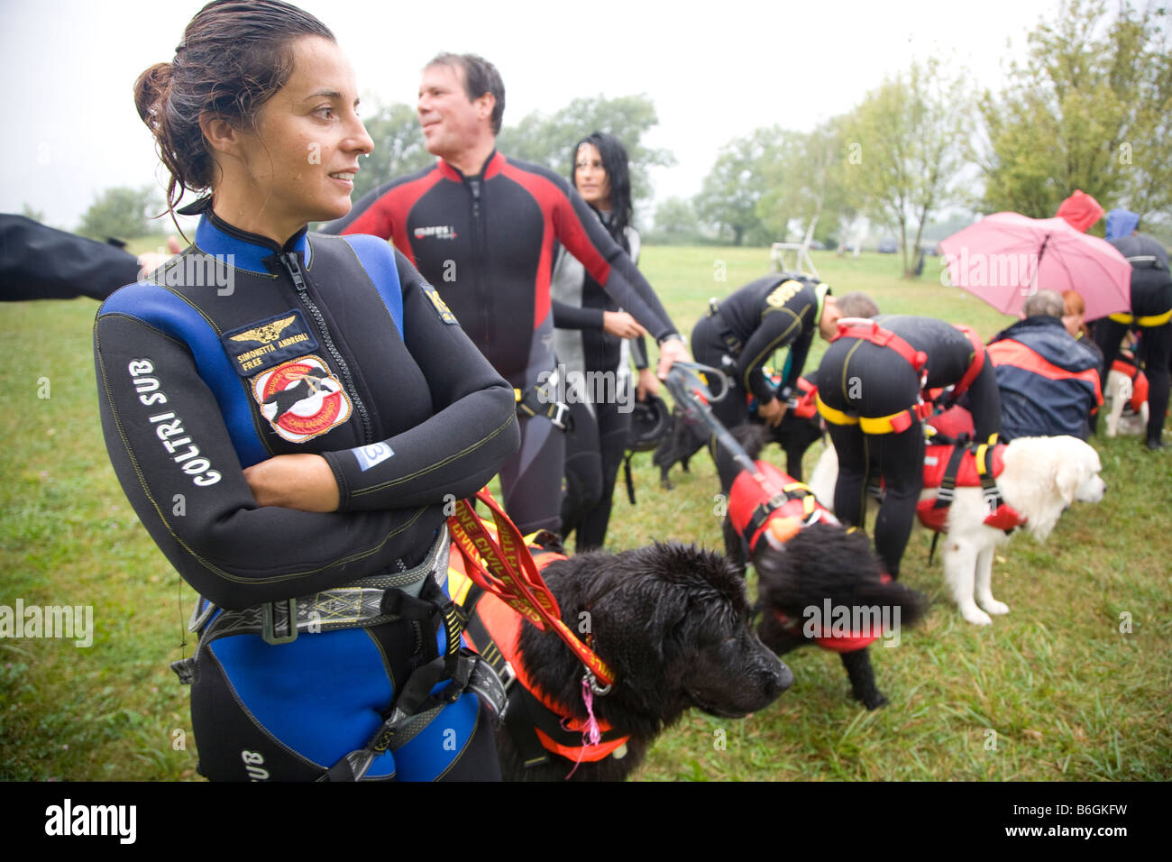 Rescue dog newfoundland swimming hi-res stock photography and images ...