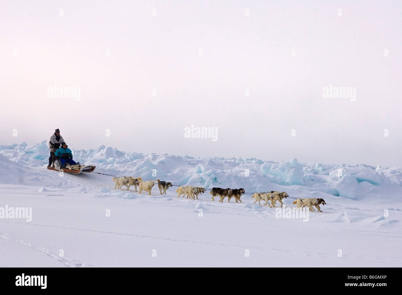 dog mushers take a ride over the pack ice along the Arctic coast ...