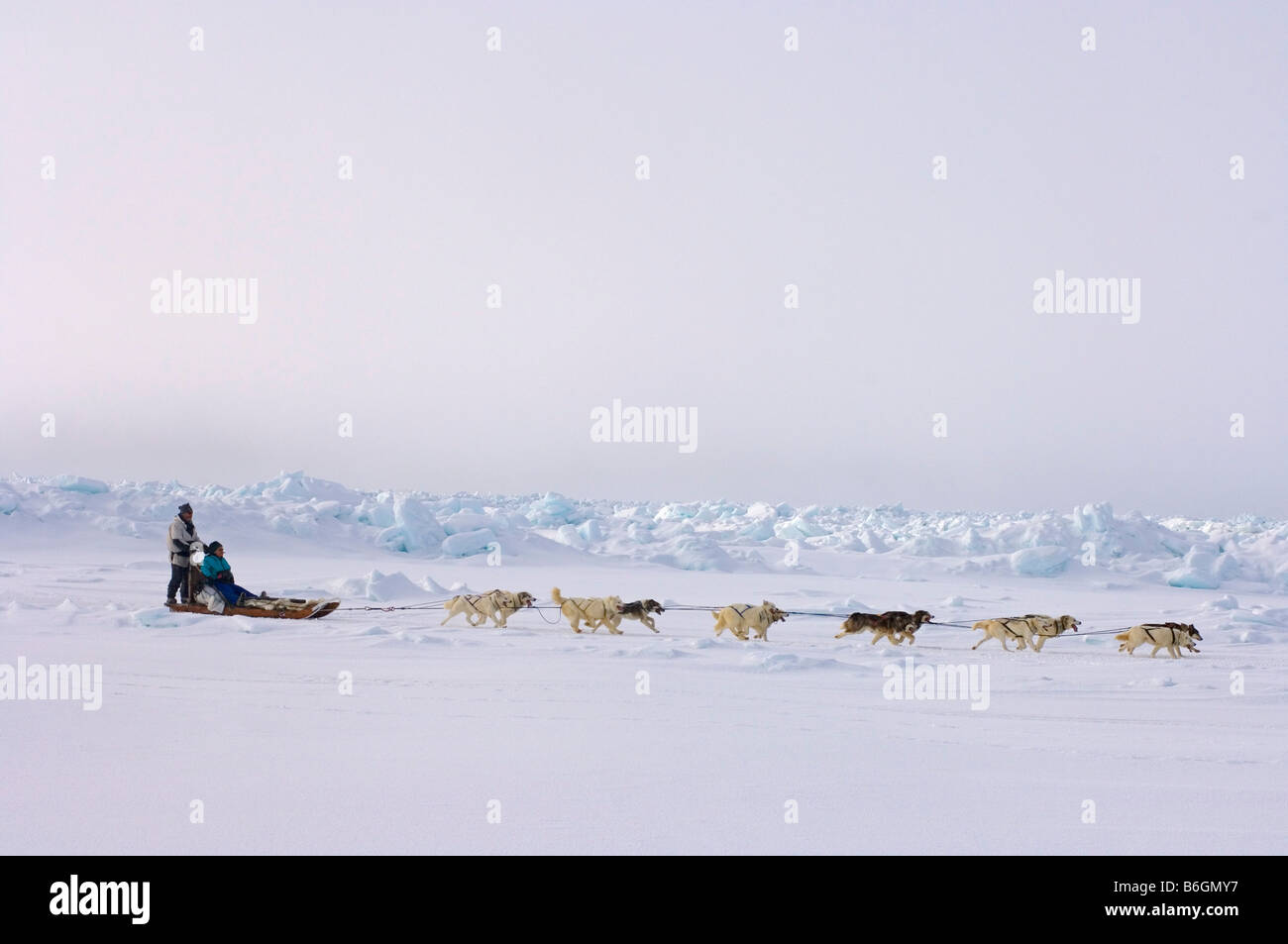 dog mushers take a ride over the pack ice along the Arctic coast ...