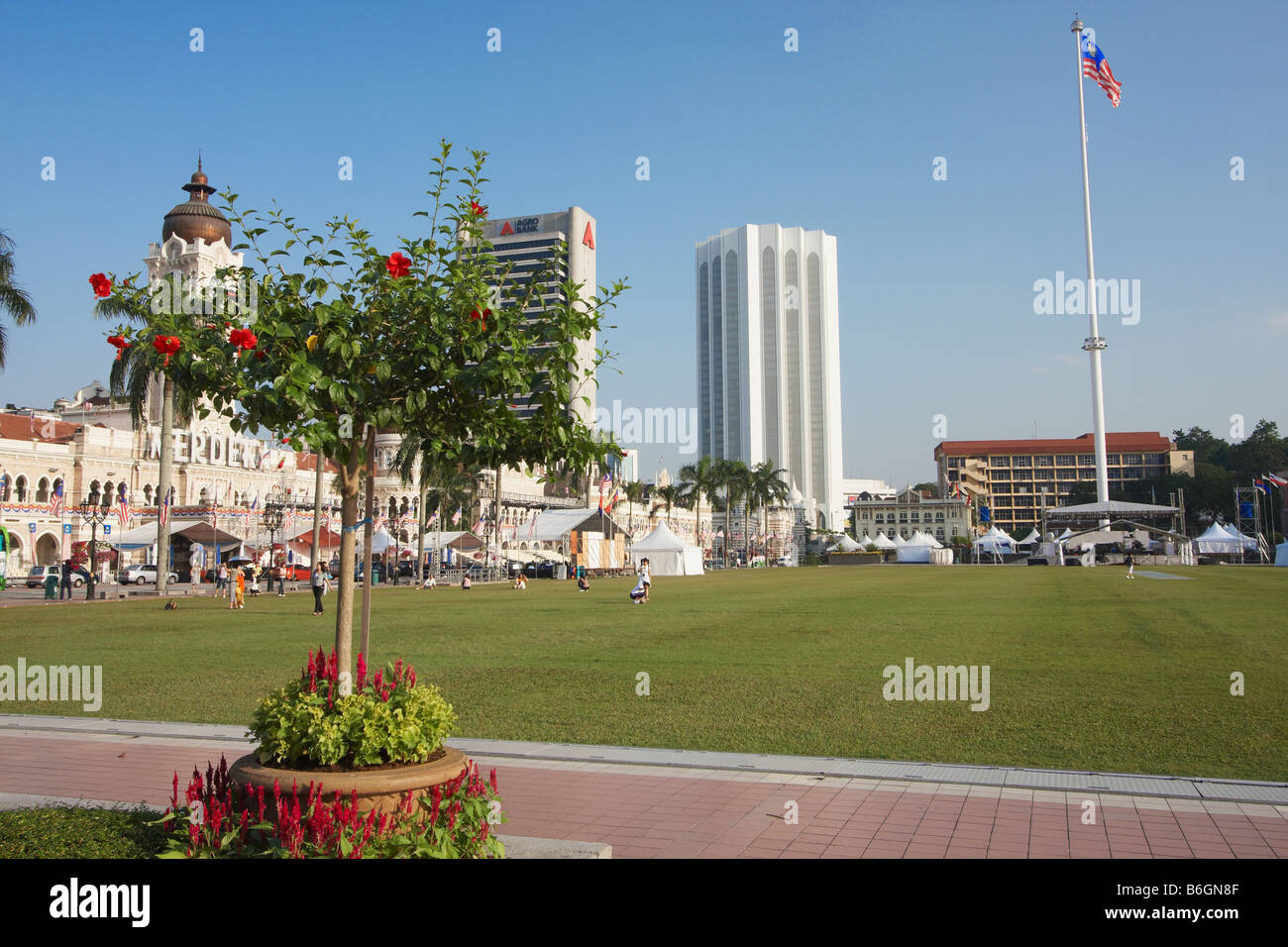Hibiscus Tree In Merdeka Square, Kuala Lumpur Stock Photo - Alamy