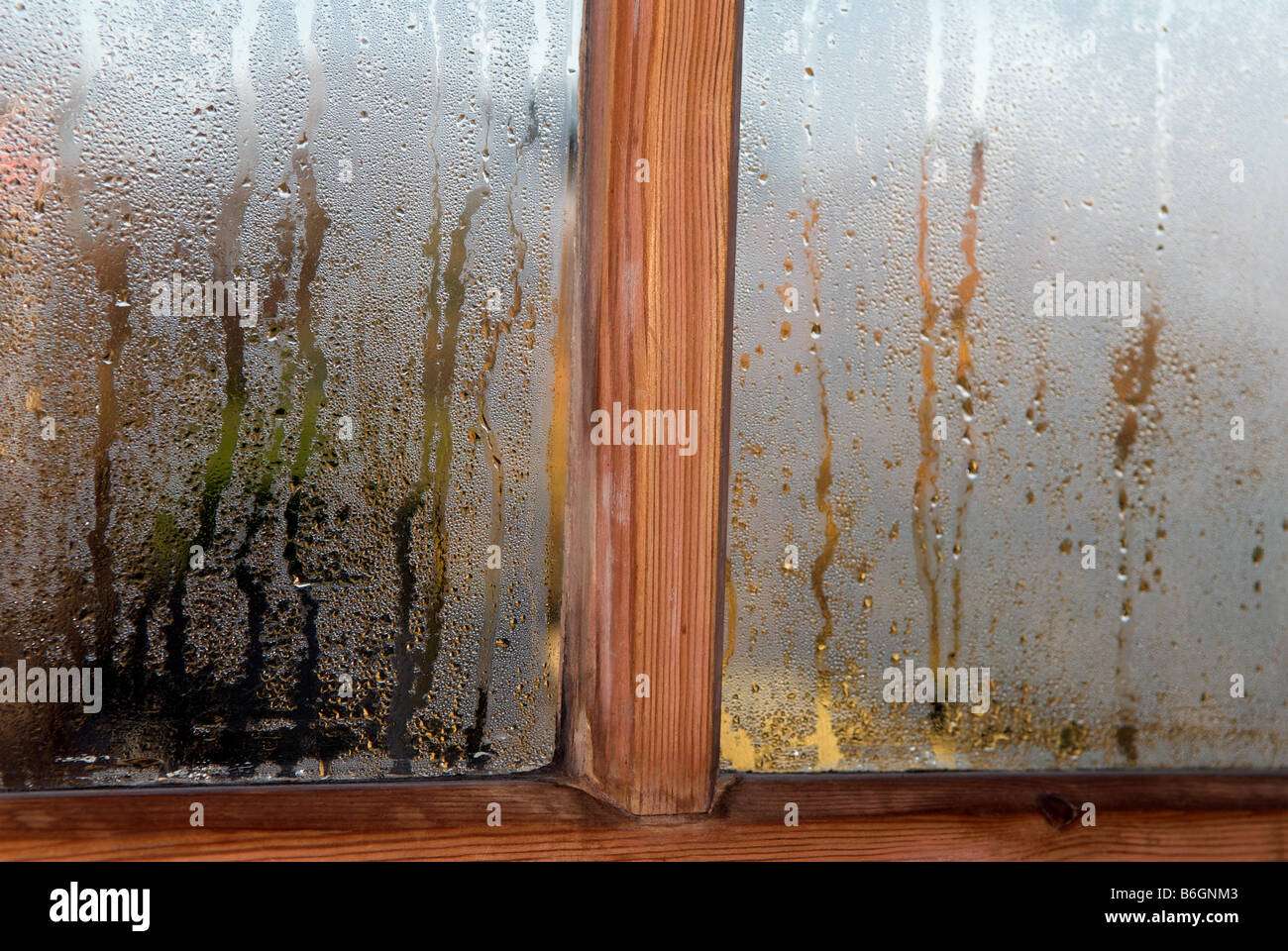 Window pain with condensation hi-res stock photography and images - Alamy
