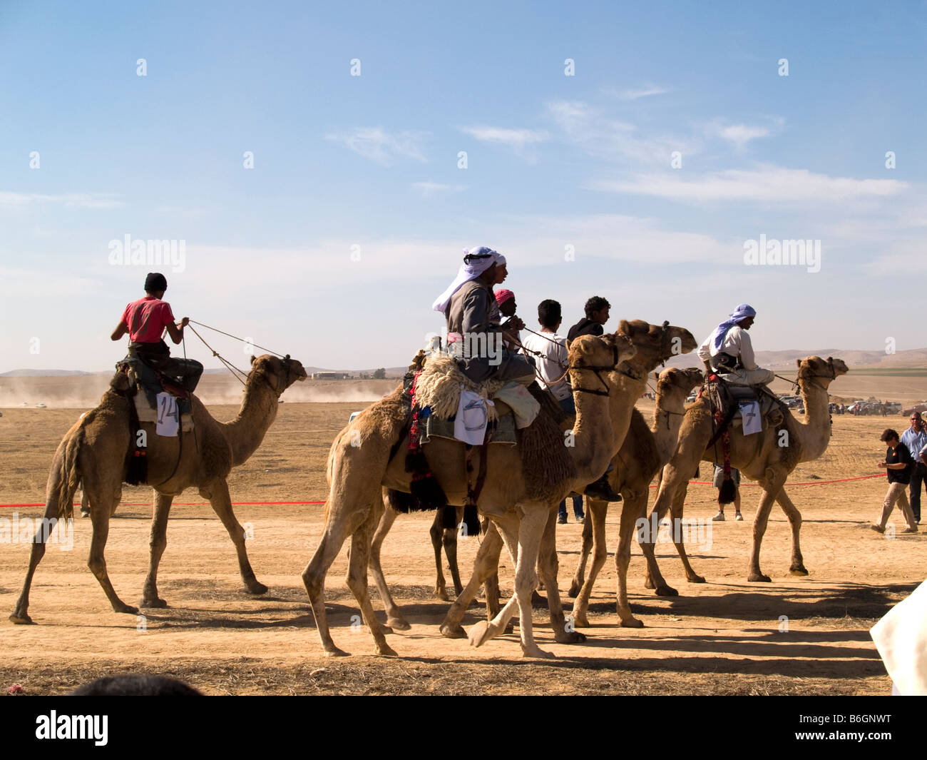 Camel riding israel hi-res stock photography and images - Alamy