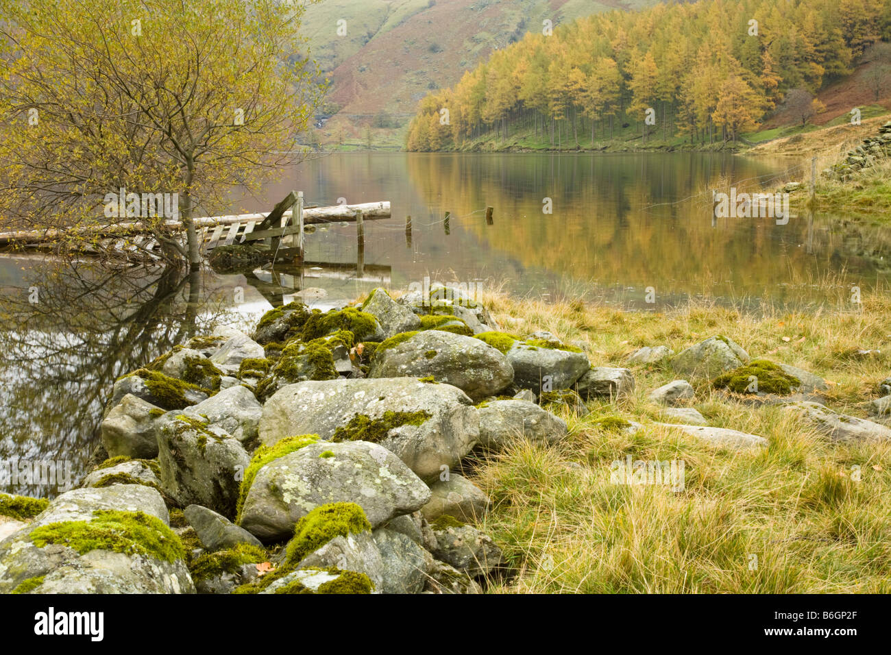 Rigg beck hi-res stock photography and images - Alamy